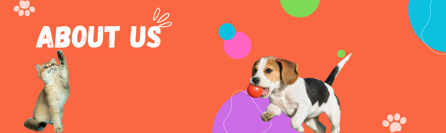 Billu & Bella – Best Pet Clinic & Vet Hospital in Dwarka Sector 23